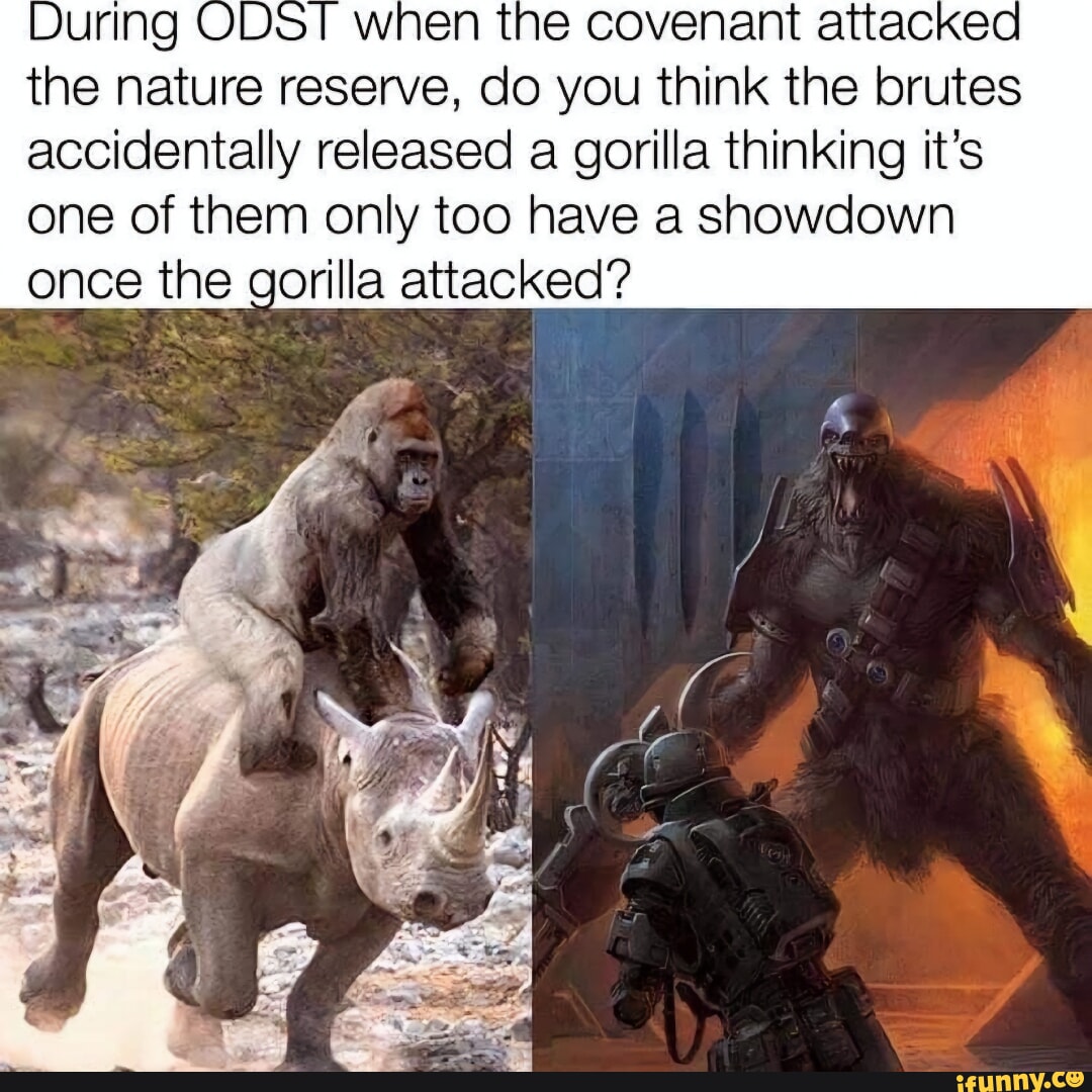 Odst memes. Best Collection of funny Odst pictures on iFunny