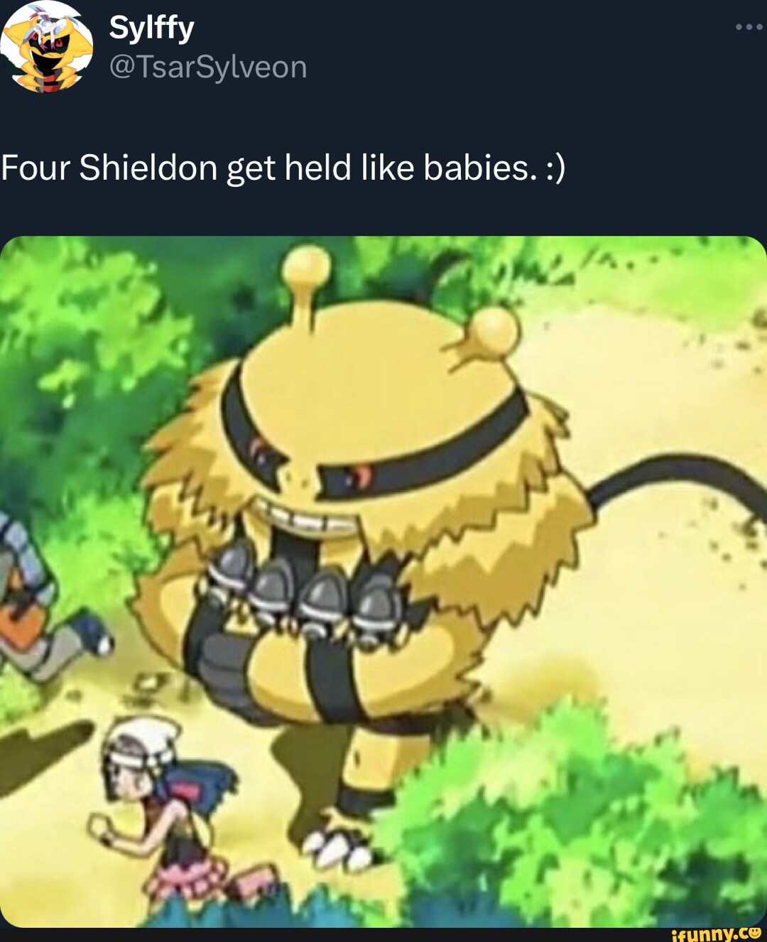 Shieldon Evolution Chart