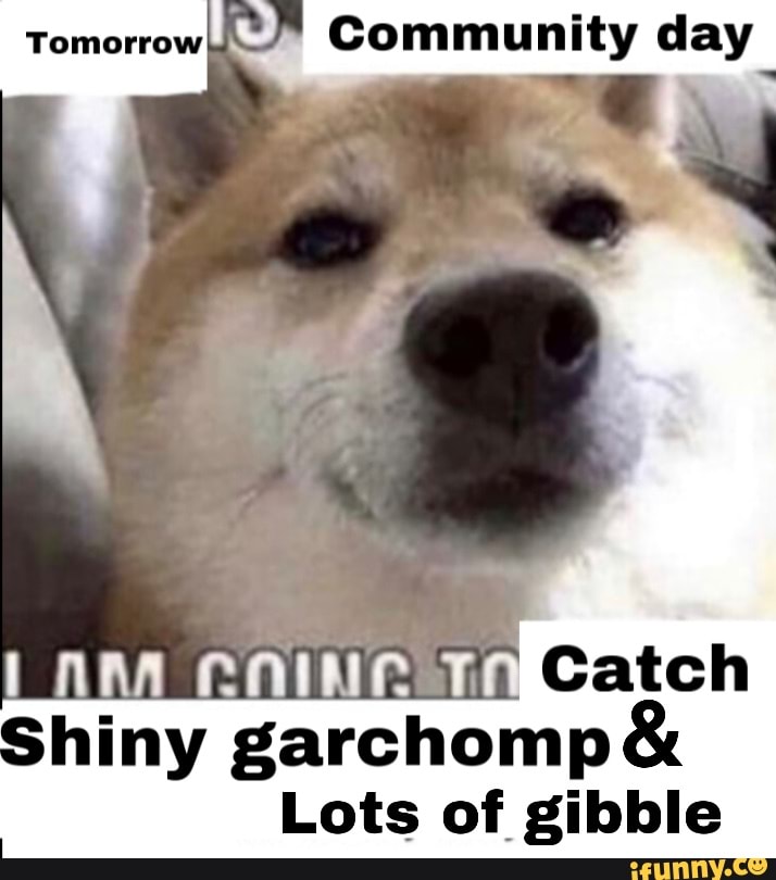 Gibble memes. Best Collection of funny Gibble pictures on iFunny