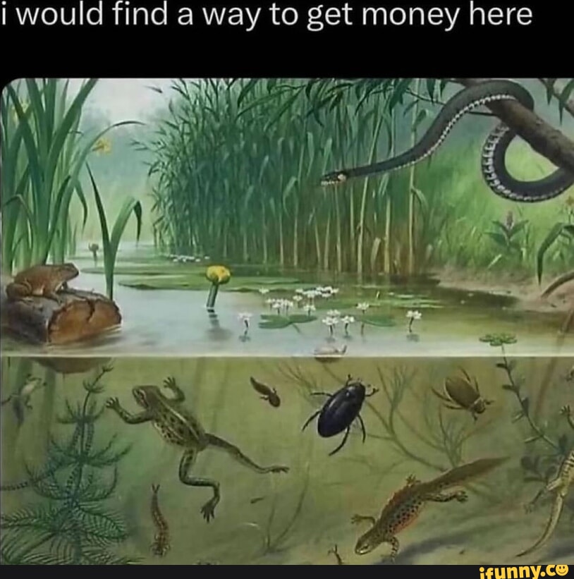 Ecosystem memes. Best Collection of funny Ecosystem pictures on iFunny