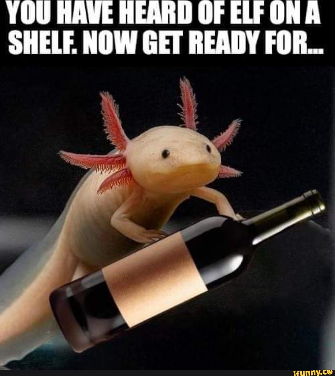 YOU HAVE HEARD OF ELF ON A SHELF. NOW GET READY FOR... AN - iFunny