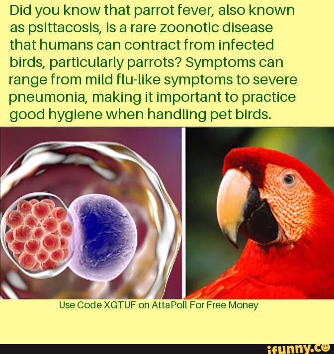 Did you know that parrot fever, also known as psittacosis, is a rare ...