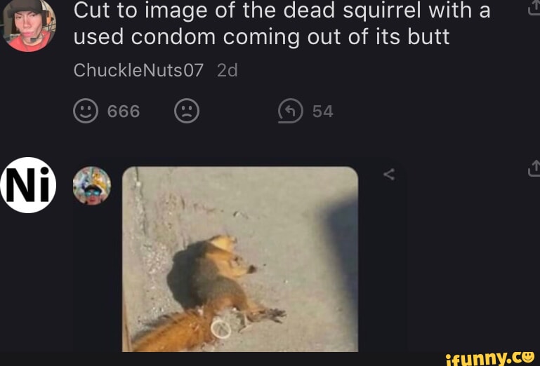 Cut to image of the dead squirrel with a used condom coming out of its butt 54 ChuckleNutsO7 Nix ...