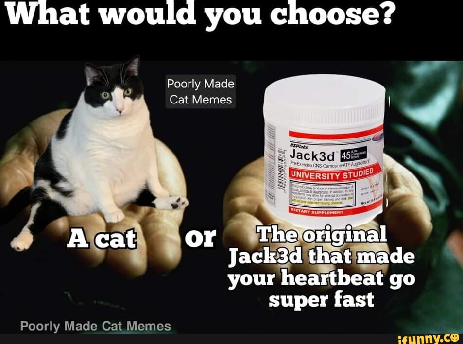 What would you choose? Poorly Made Cat Memes é 'a tat Poorly Made Cat ...