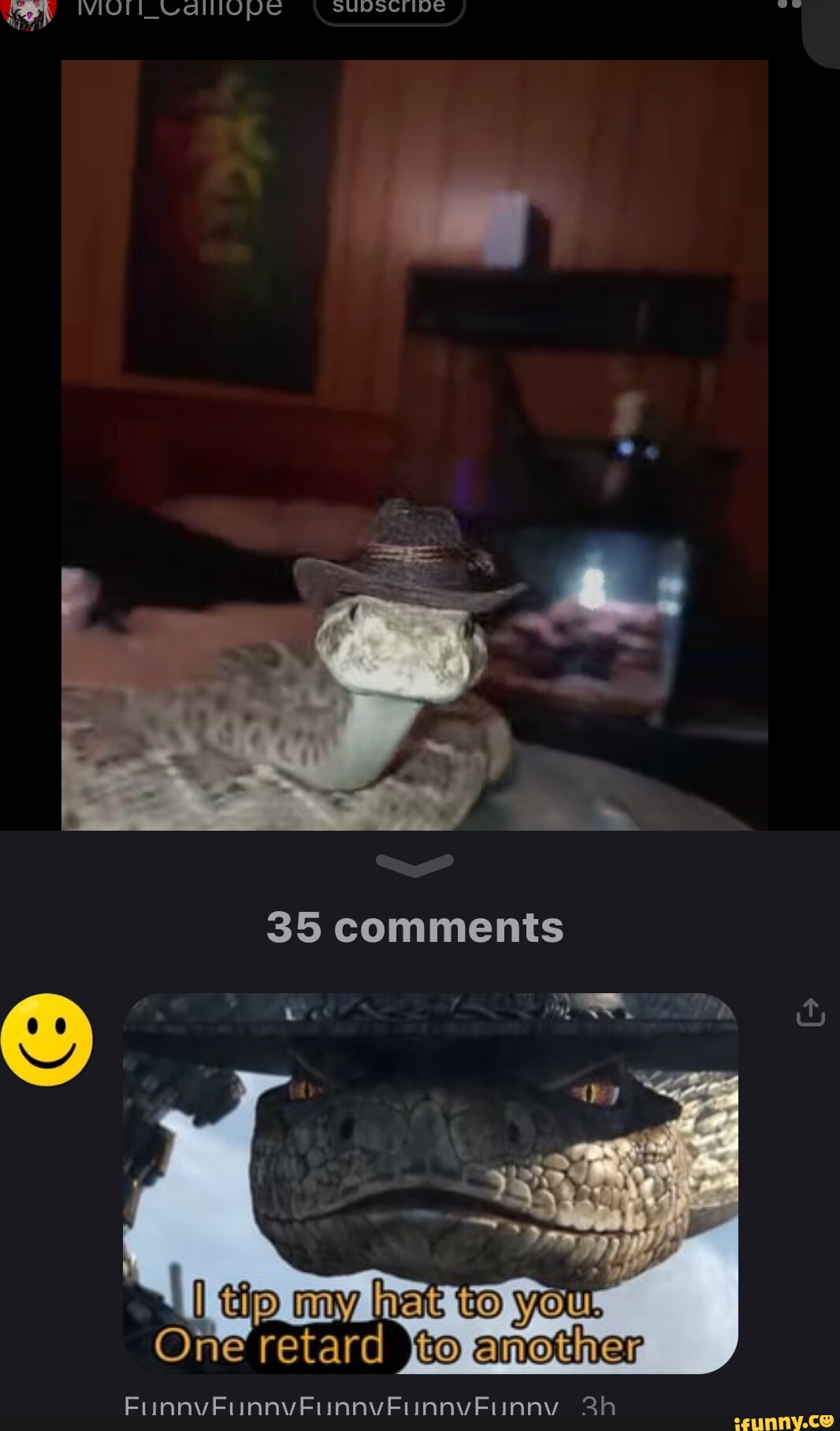 Memes de vídeo KEPyGrlBB por shaolin_mata_porco - iFunny