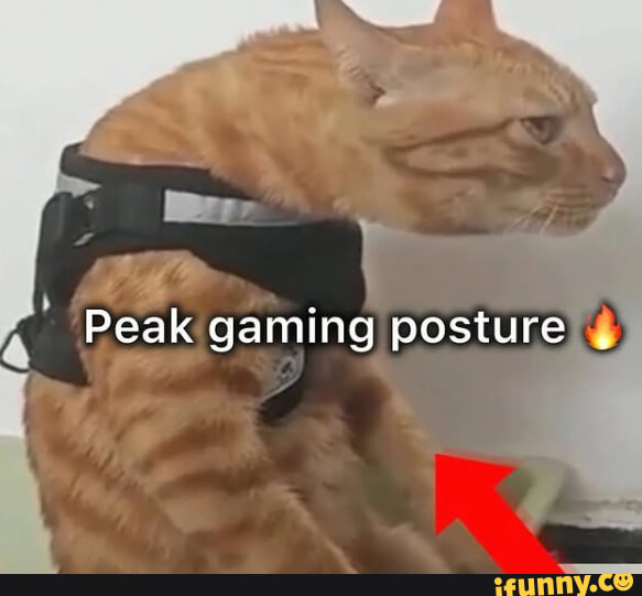 Peak gaming posture - peak gaming posture id Peak gaming posture - iFunny