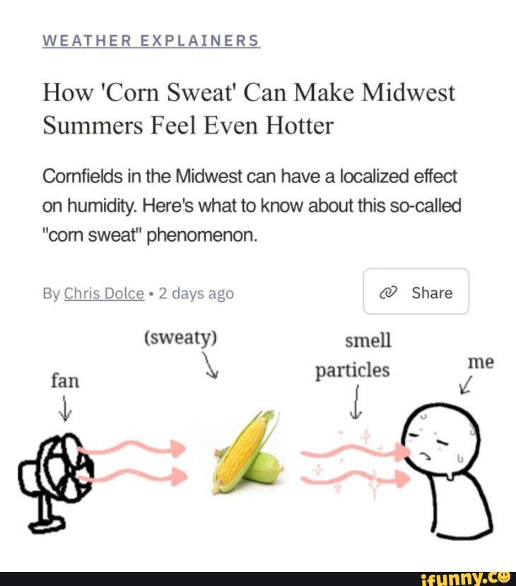 WEATHER EXPLAINERS How 'Corn Sweat' Can Make Midwest Summers Feel Even ...