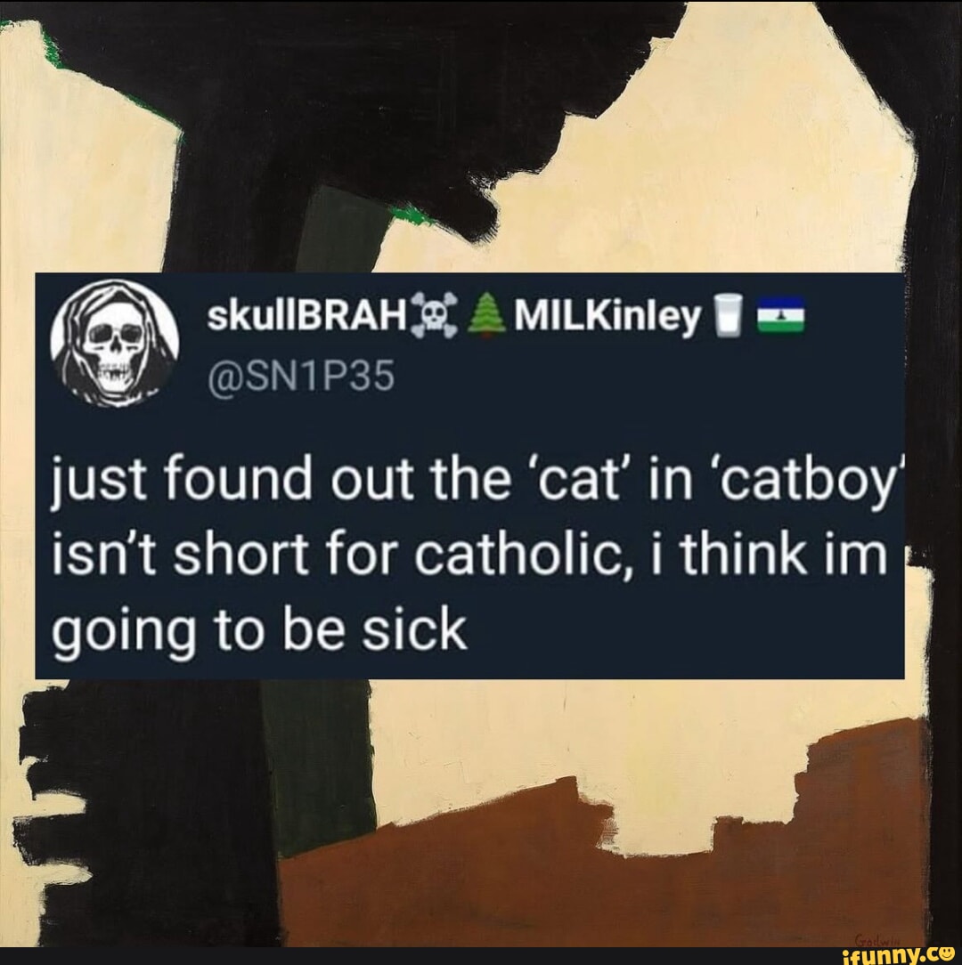 (EN @SN1P35 MILKinley just found out the 'cat' in 'catboy' isn't short ...