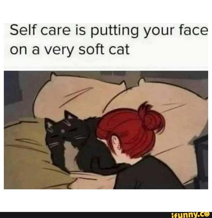 Self care is putting your face on very soft cat - iFunny