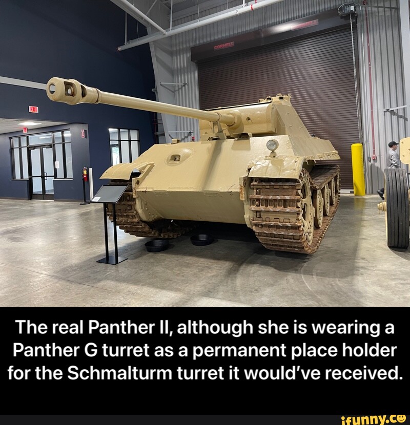 Panther memes. Best Collection of funny Panther pictures on iFunny