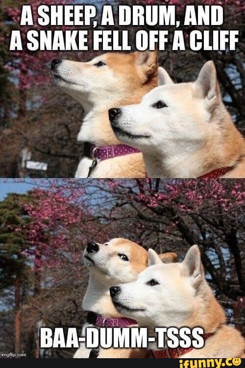 Tsss memes. Best Collection of funny Tsss pictures on iFunny