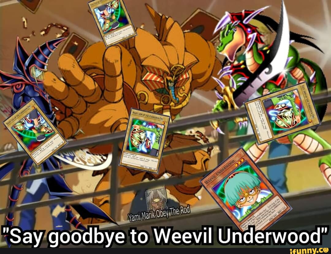 Weevil memes. Best Collection of funny Weevil pictures on iFunny