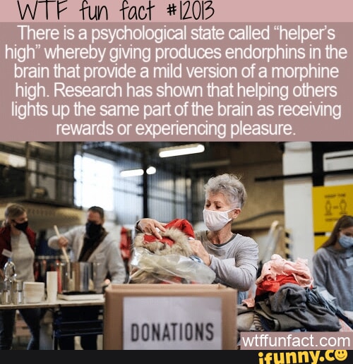 Morphine memes. Best Collection of funny Morphine pictures on iFunny