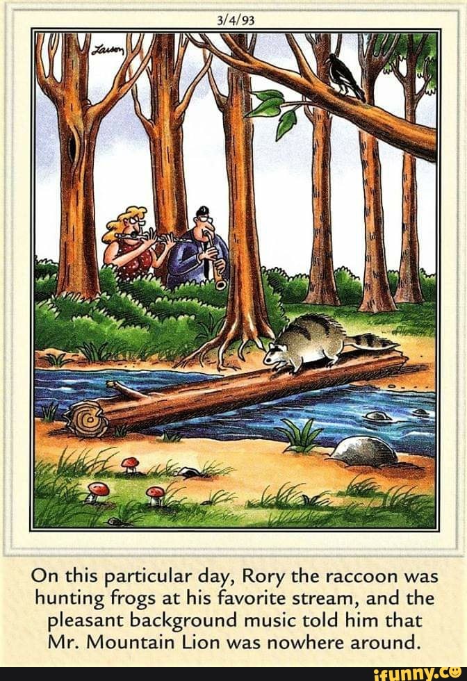 On this particular day, Rory the raccoon was hunting frogs at his ...