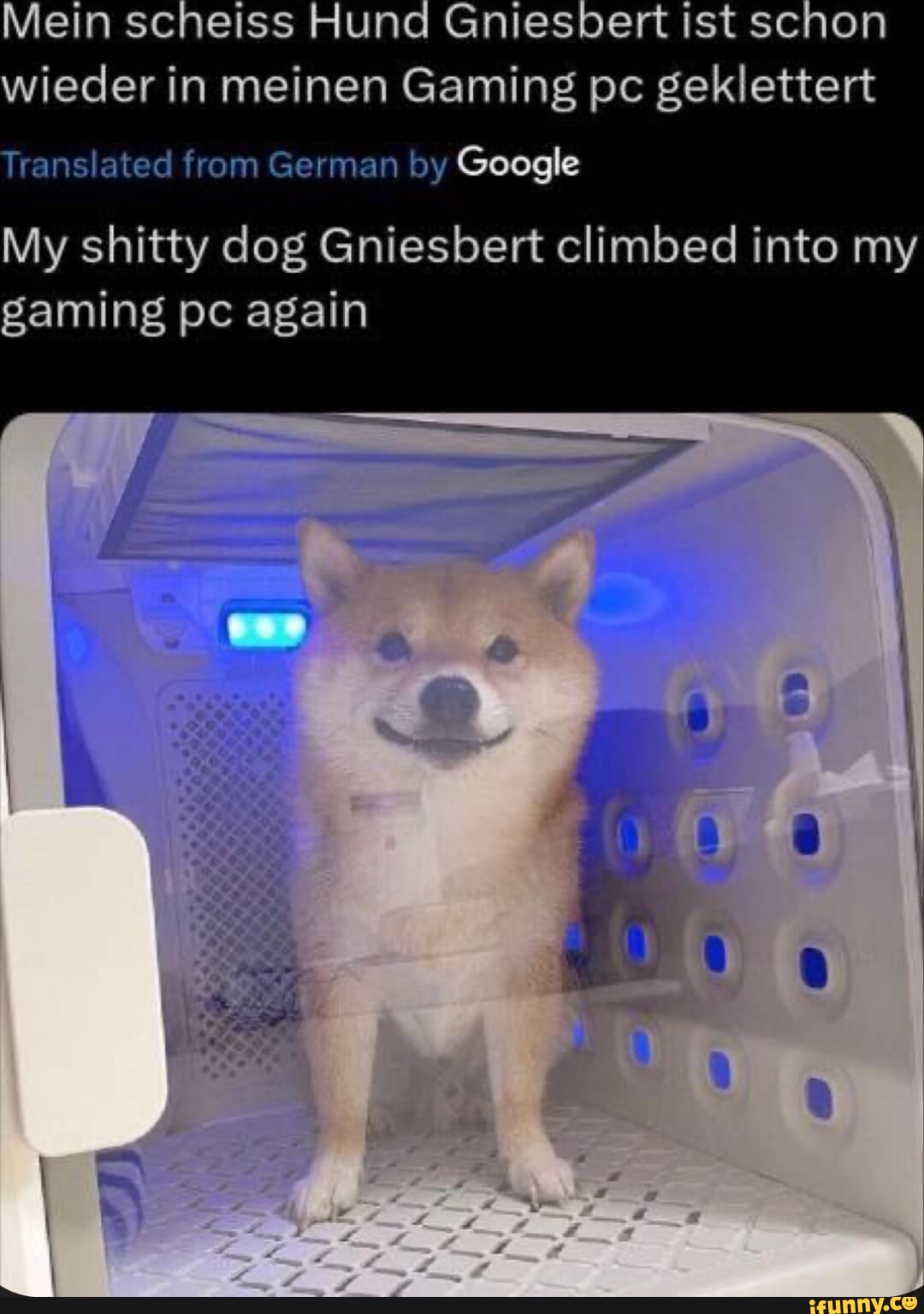 Gniesbert memes. Best Collection of funny Gniesbert pictures on iFunny