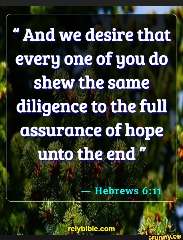 Diligence memes. Best Collection of funny Diligence pictures on iFunny