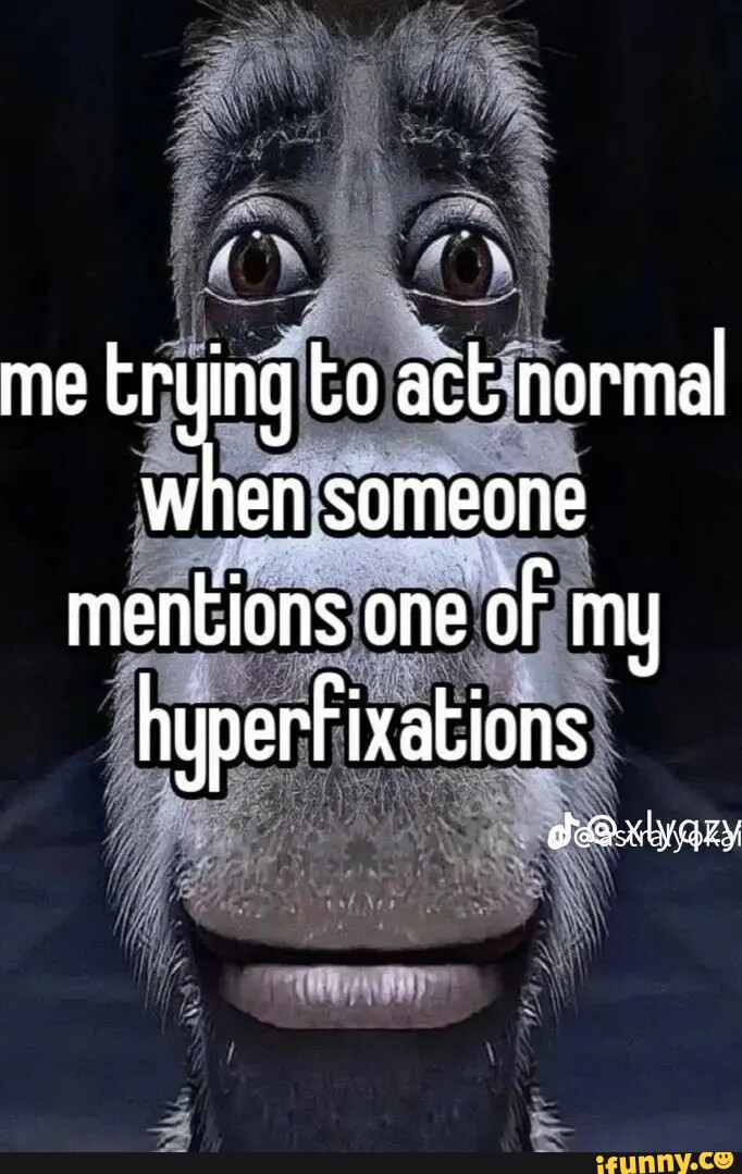 Hyperfixations memes. Best Collection of funny Hyperfixations pictures ...