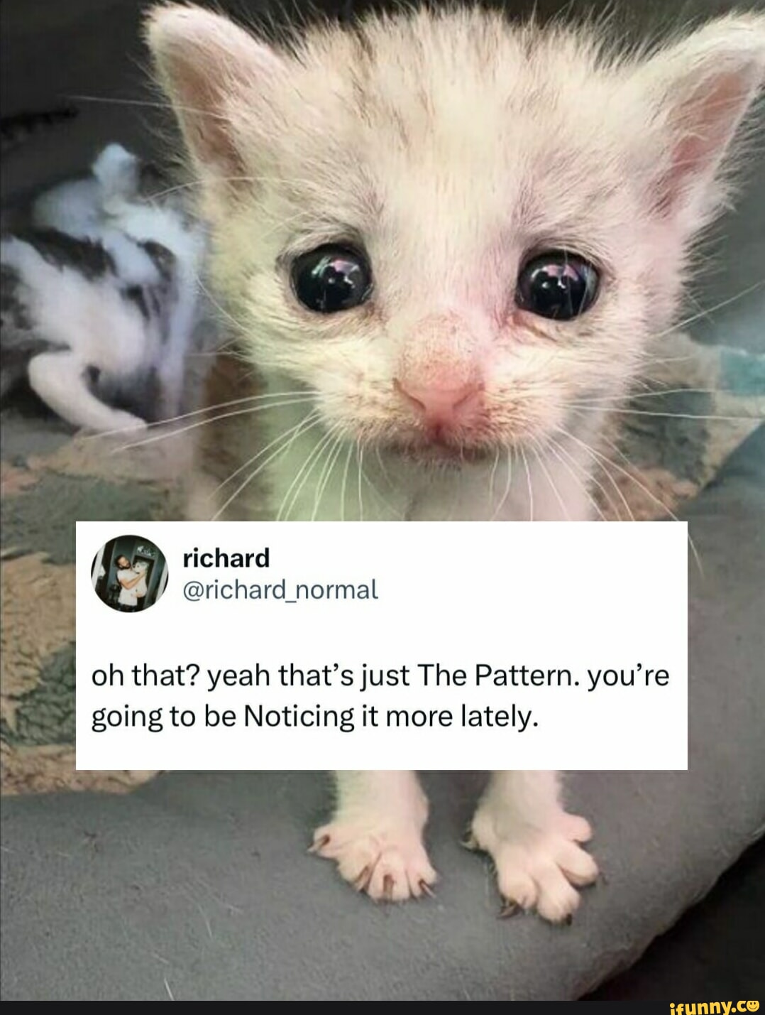 I richard @richard_normal oh that? yeah that's just The Pattern. you're ...