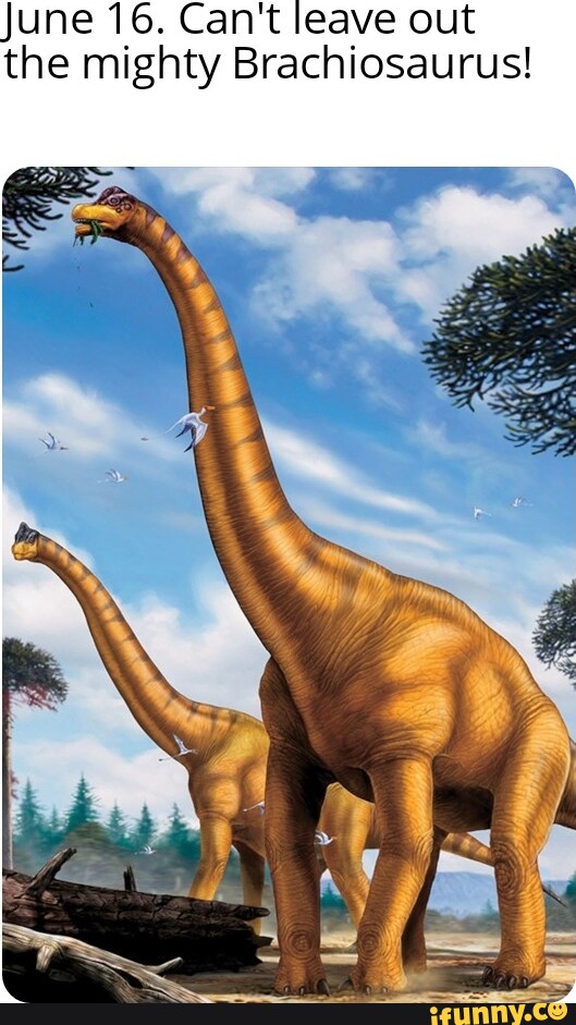 Brachiosaurus memes. Best Collection of funny Brachiosaurus pictures on ...