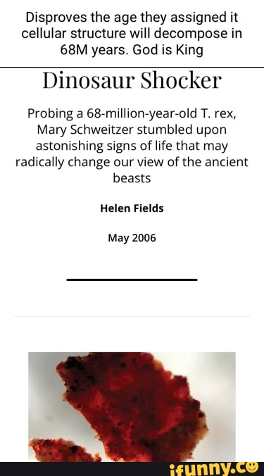 Shocker memes. Best Collection of funny Shocker pictures on iFunny