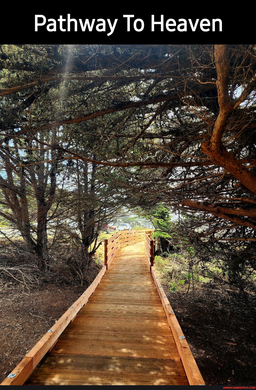 Pathway To Heaven - America’s best pics and videos