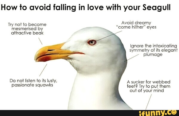 Symmetry memes. Best Collection of funny Symmetry pictures on iFunny