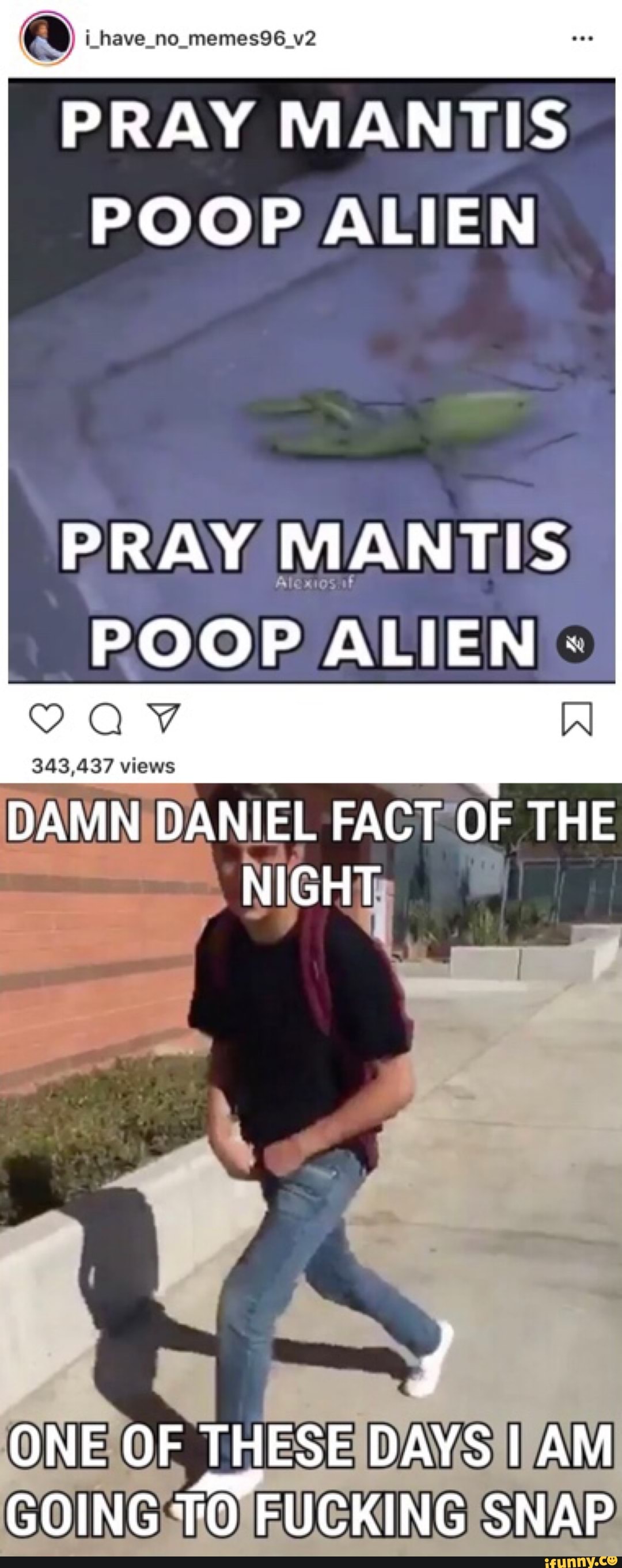 PRAY MANTIS POOP ALIEN DA‘MN DANIEL FACT’OF THE - iFunny