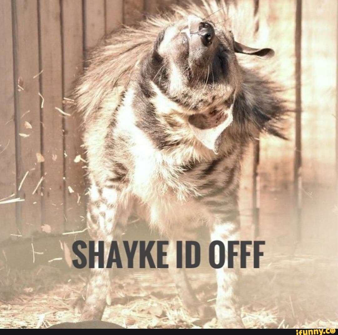 Hyenatime memes. Best Collection of funny Hyenatime pictures on iFunny