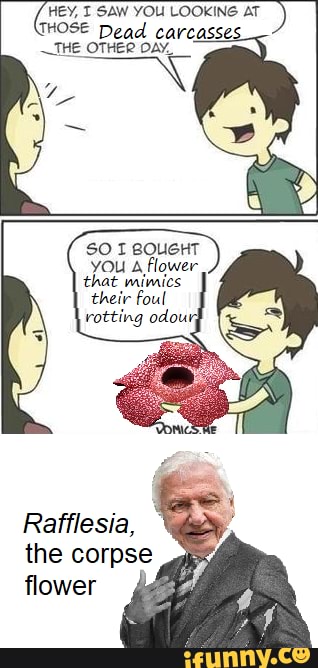 Rafflesia memes. Best Collection of funny Rafflesia pictures on iFunny