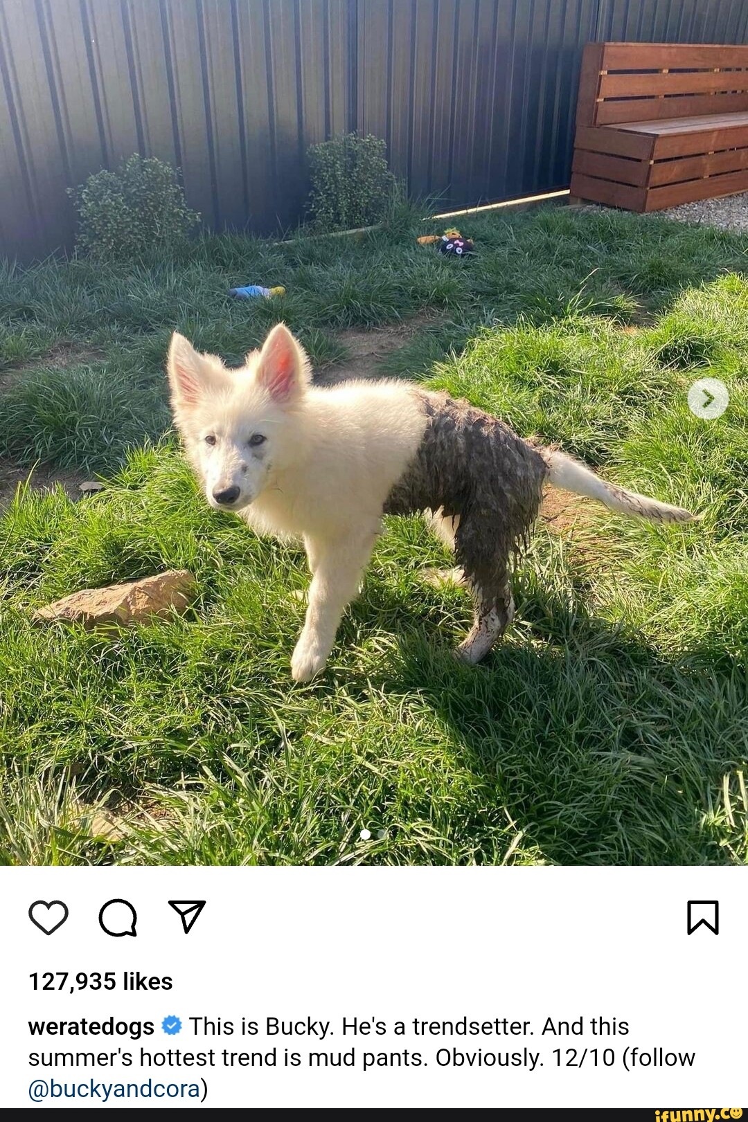 Trendsetter memes. Best Collection of funny Trendsetter pictures on iFunny