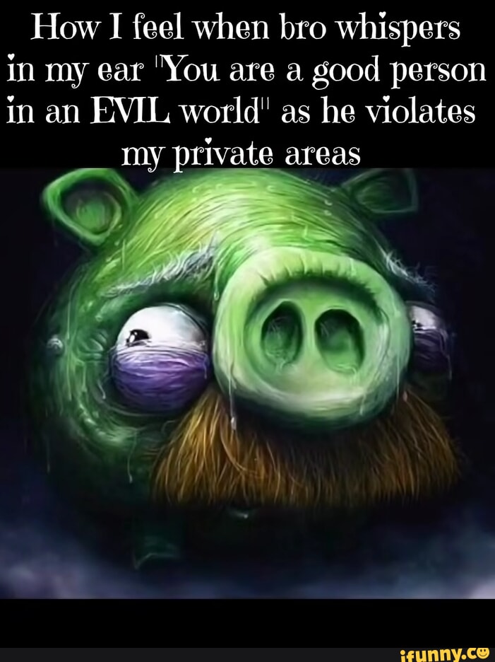 How I feel when bro whispers in my ear "You are a good person in an ...