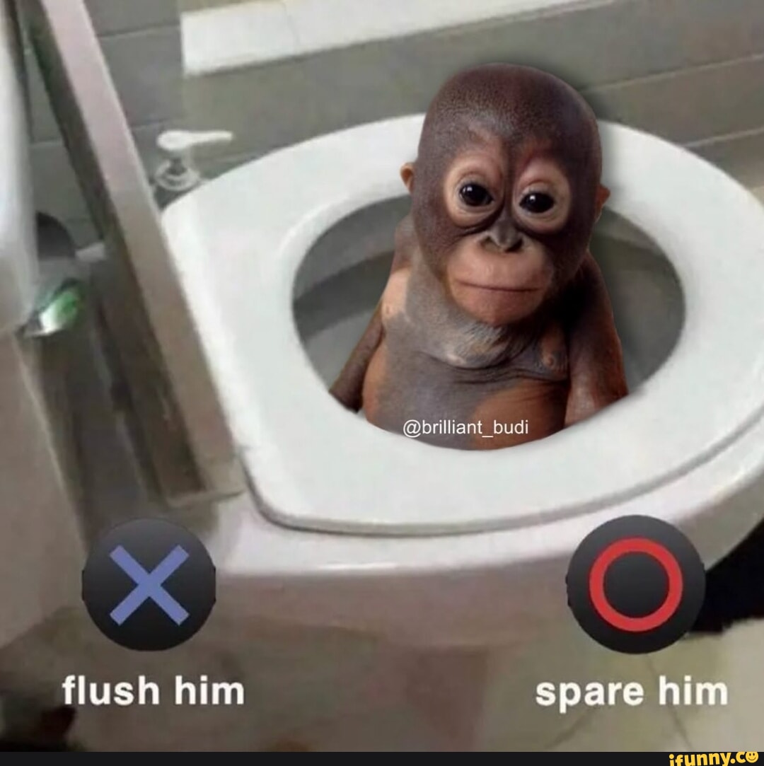 Flush memes. Best Collection of funny Flush pictures on iFunny