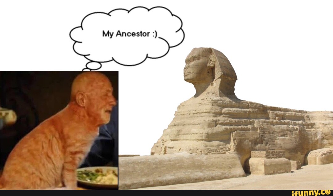 Ancestor memes. Best Collection of funny Ancestor pictures on iFunny