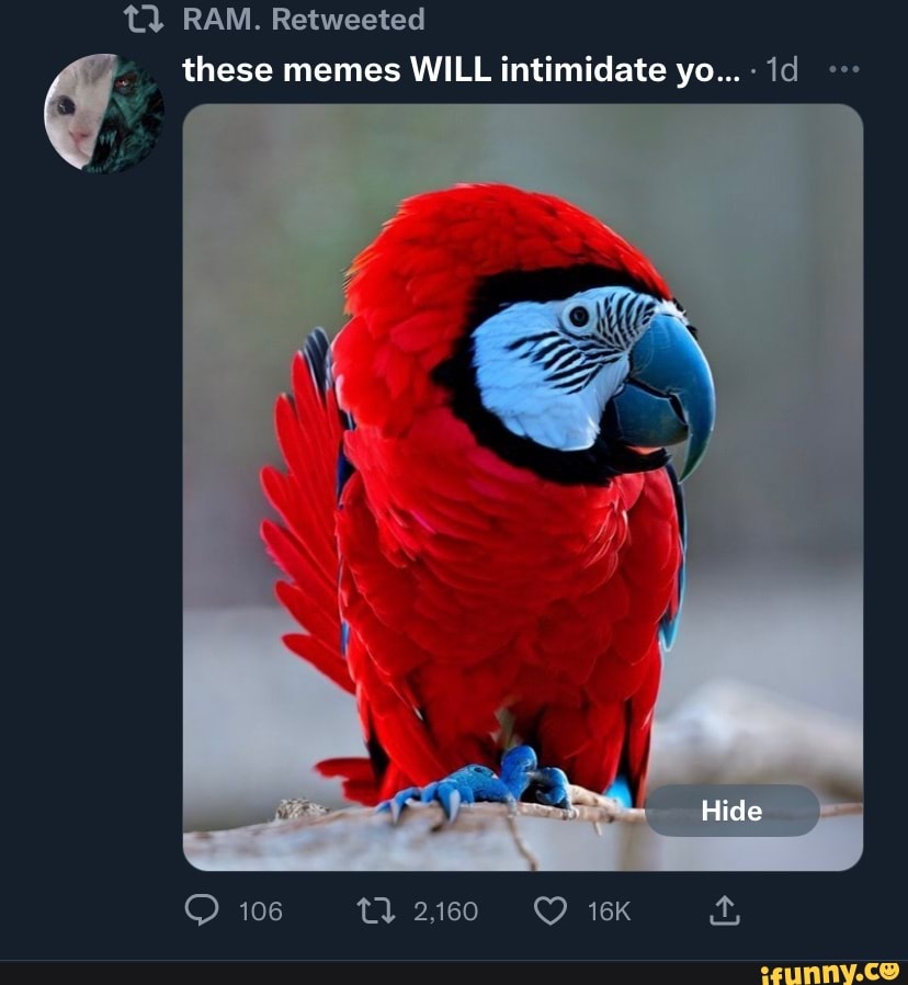 RAM. Retweeted these memes WILL intimidate yo...- id fa Hide 106 th 2. ...