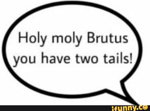 Holy moly Brutus you have two tails! - iFunny