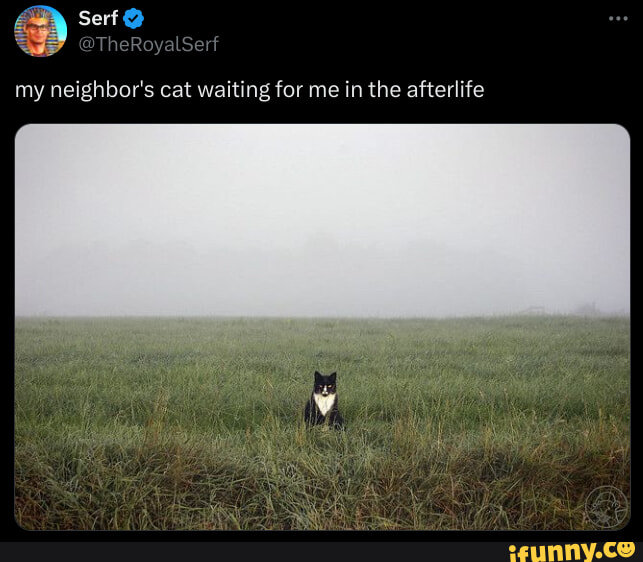 Serf memes. Best Collection of funny Serf pictures on iFunny