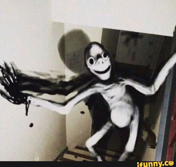 Cursed_stalker memes. Best Collection of funny Cursed_stalker pictures ...