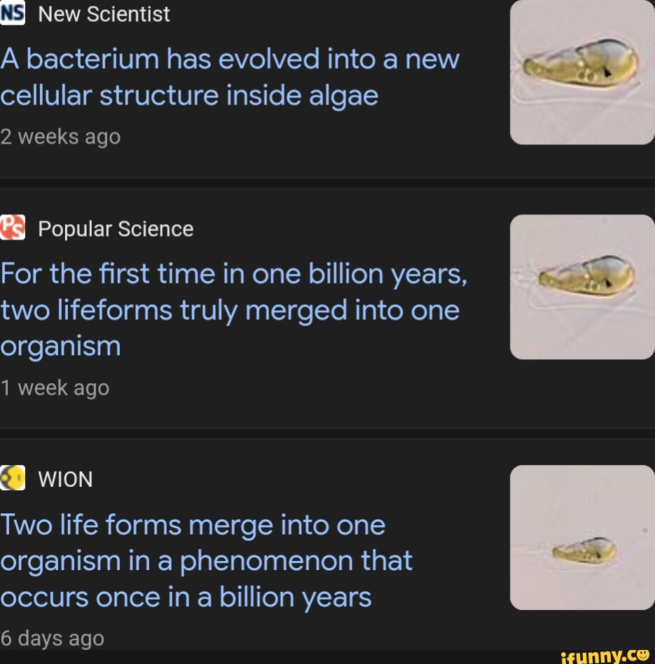 Lifeforms memes. Best Collection of funny Lifeforms pictures on iFunny