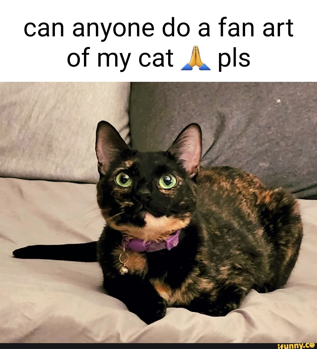 Can anyone do a fan art of my cat pls - iFunny