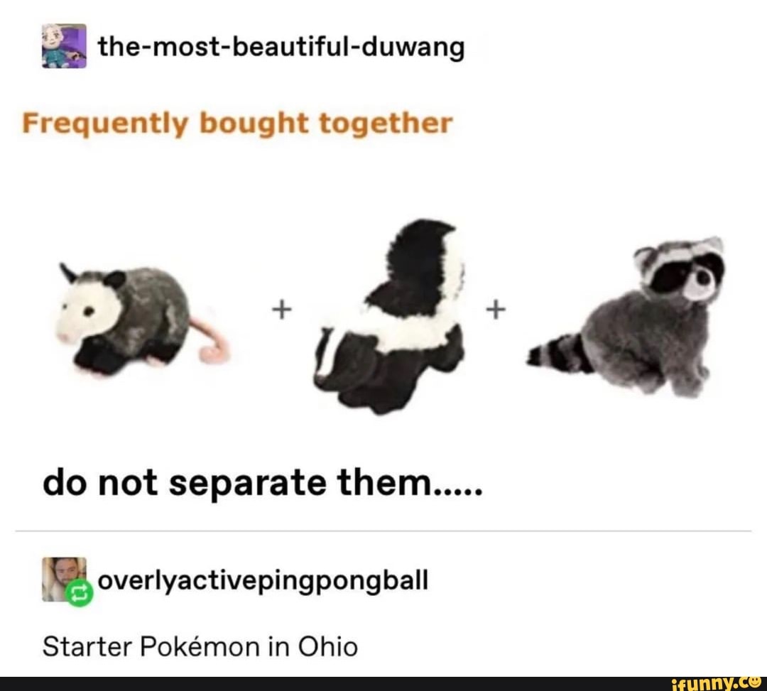 Duwang memes. Best Collection of funny Duwang pictures on iFunny