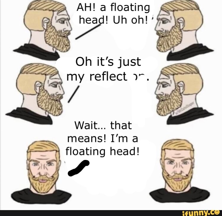 SSS AH! a floating head! Uh oh!' Oh it's just my reflect Wait... that ...