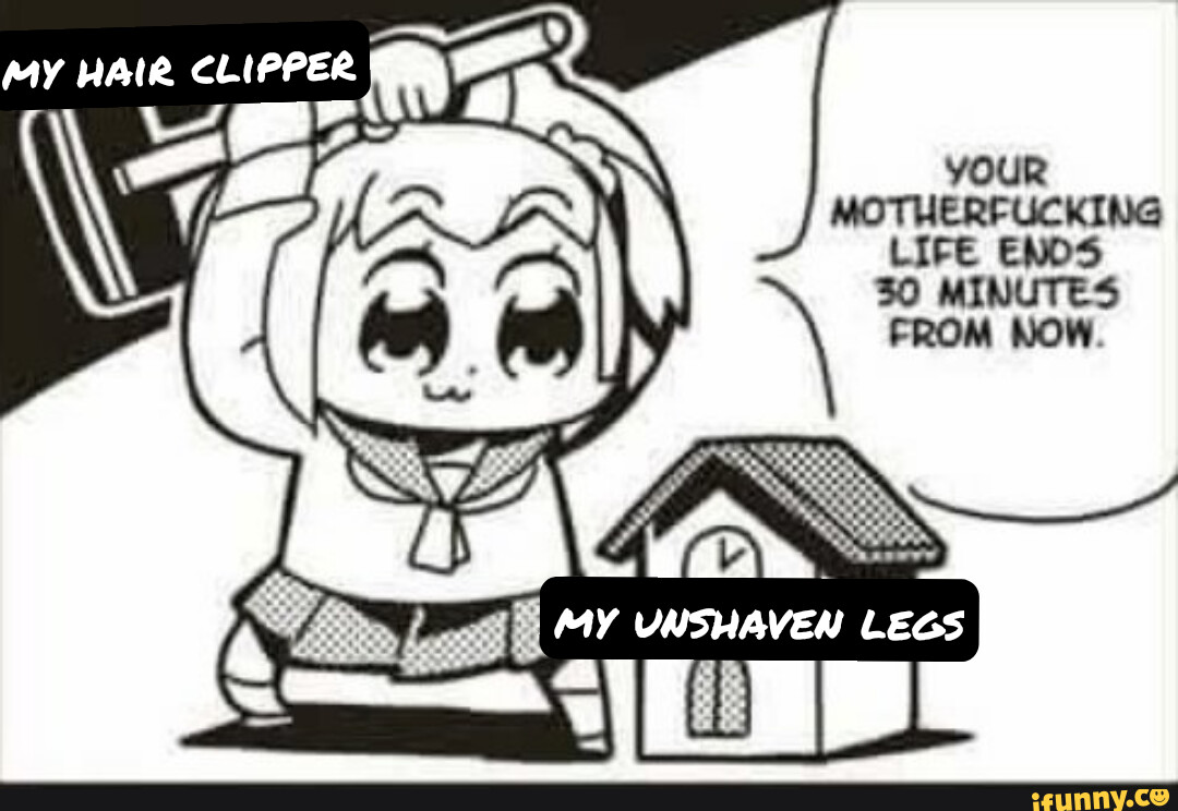 Clipper memes. Best Collection of funny Clipper pictures on iFunny