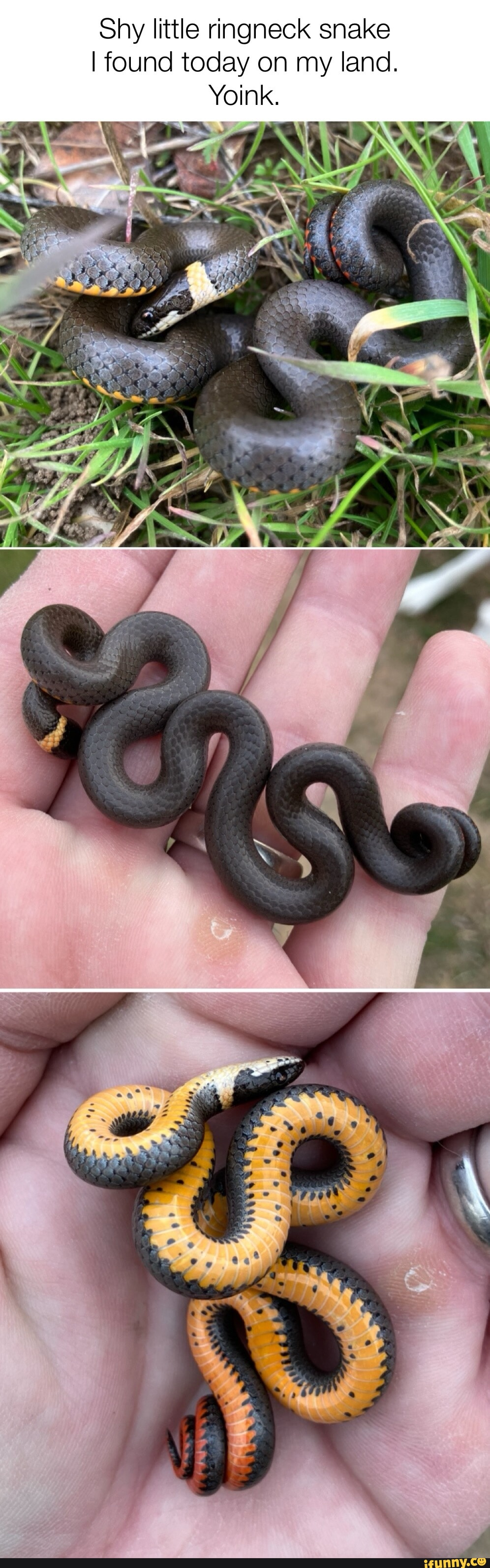 KICKSTARTER HOME my art, MY ART!! kickstart my art! A Painting project ...