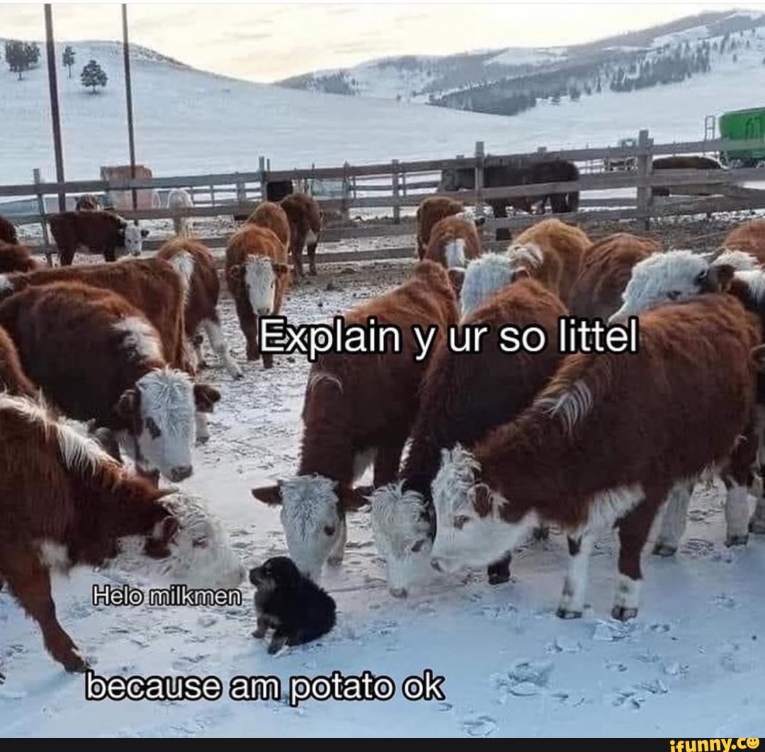 Came home with my paycheck and hard-on, guess which one she wanted to ...