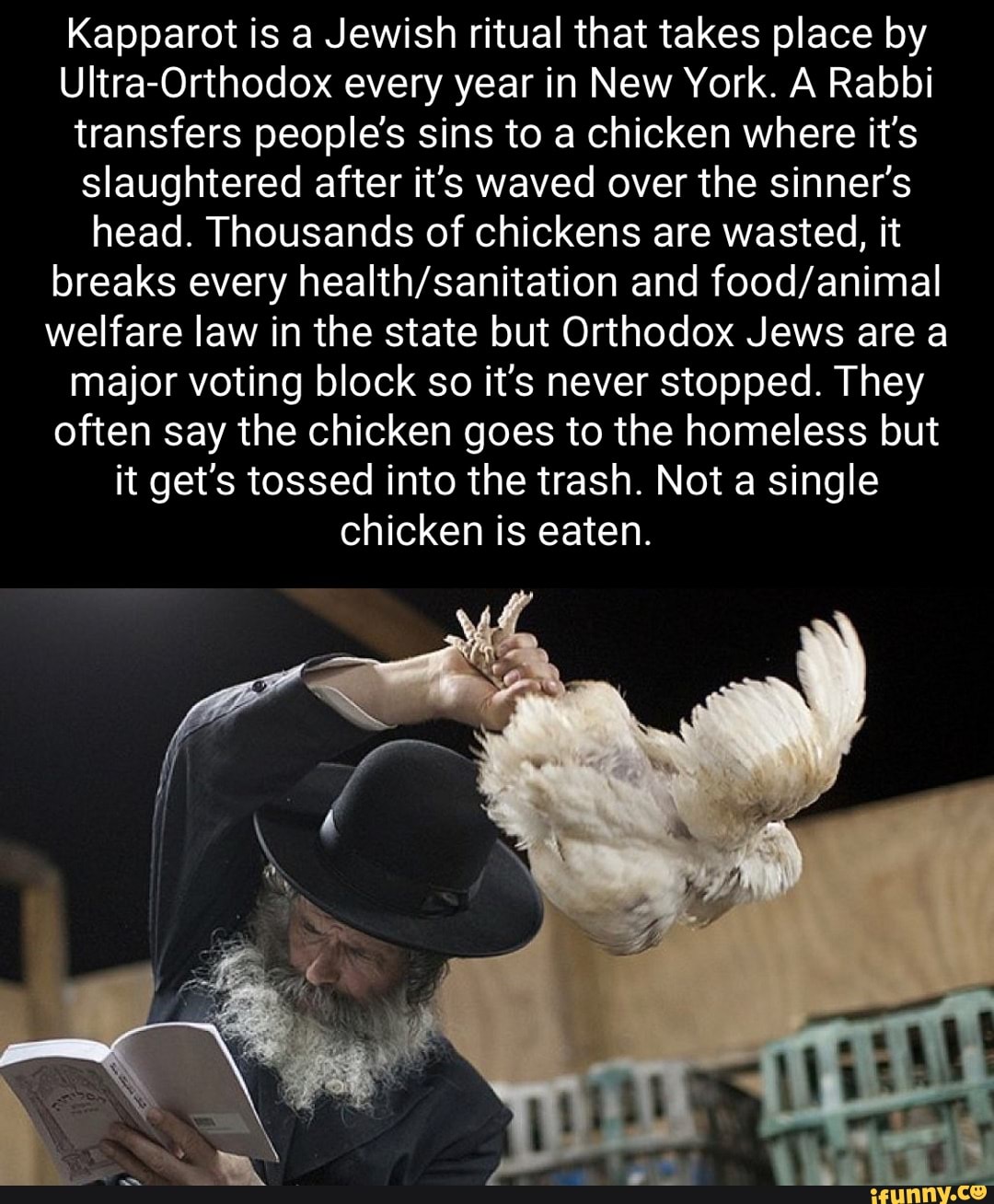 Kapparot is a Jewish ritual that takes place by Ultra-Orthodox every ...