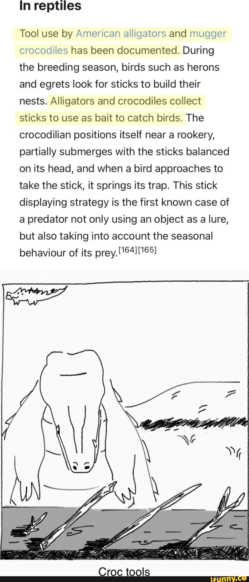 In reptiles Tool use by American alligators and mugger crocodiles has ...