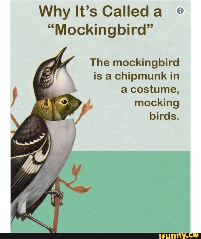 Why It's Galled "Mockingbird" The mockingbird is a chipmunk in a ...