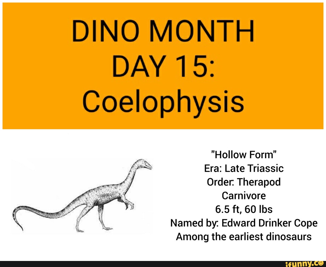 DINO MONTH DAY 15: Coelophysis "Hollow Form" Era: Late Triassic Order ...
