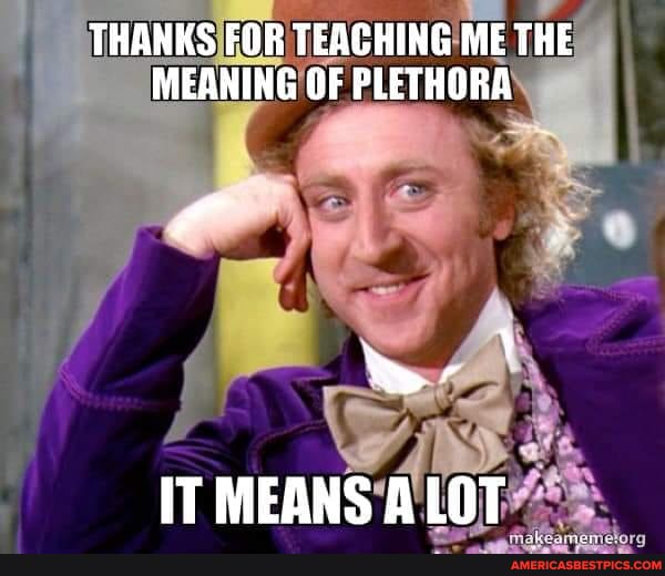THANKS FOR TEACHING ME THE MEANING OF PLETHORA IT MEANS ALOT - America ...
