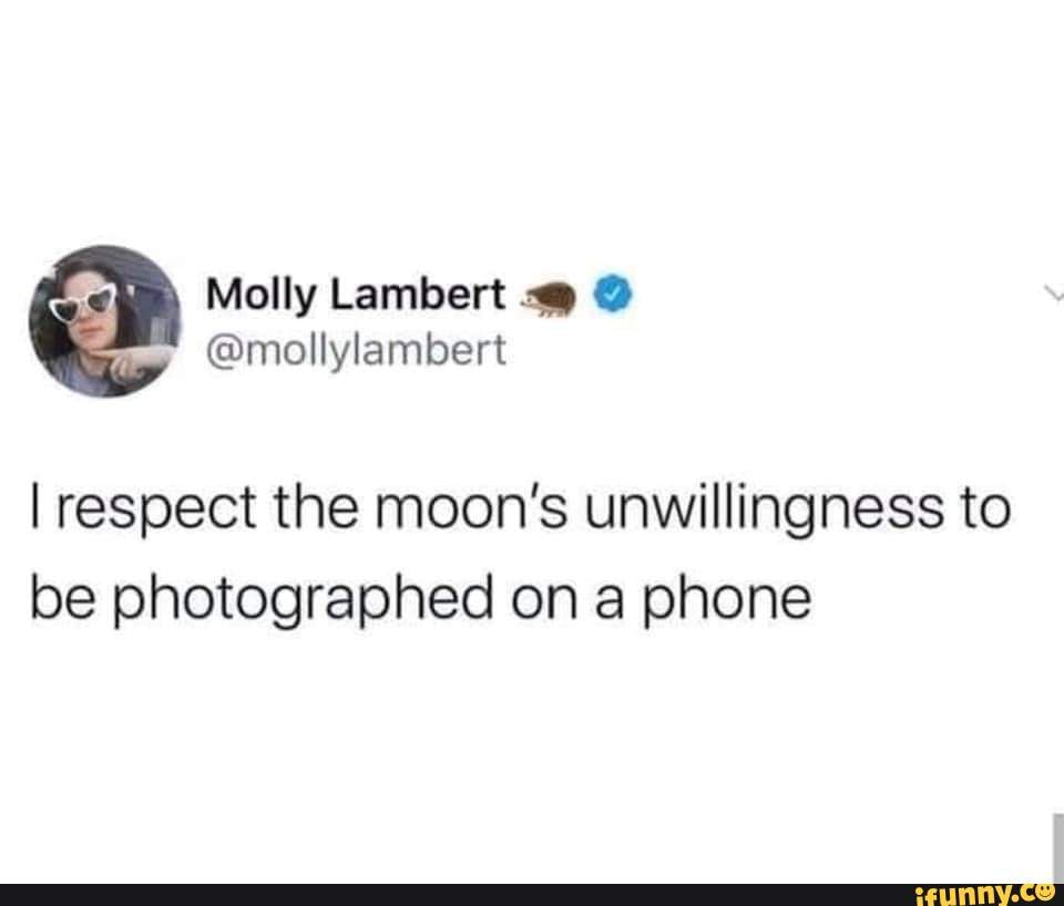 Molly Lambert @ I respect the moon's unwillingness to be photographed ...